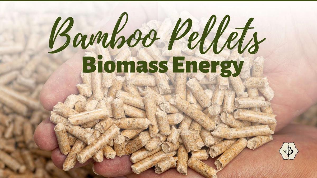 'Video thumbnail for Bamboo Pellets for Energy'