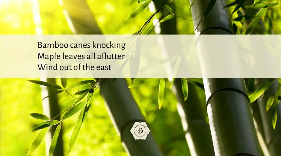 Bamboo Poetry: Haiku and other lyrical language - Bambu Batu