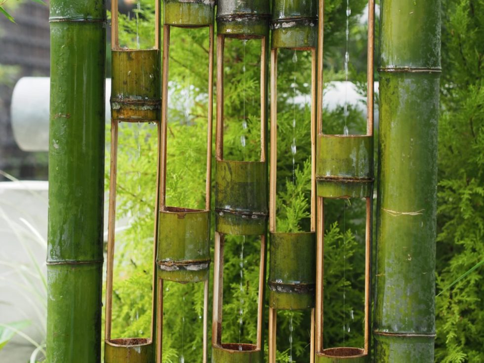 Is all bamboo hollow? - Bambu Batu