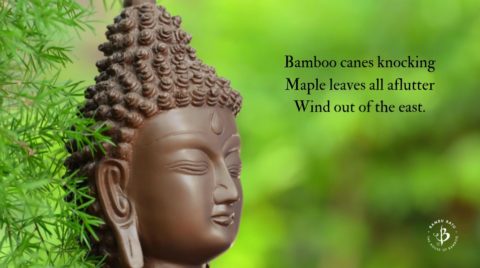 Bamboo Proverbs: 9 Great quotes about bamboo | Bambu Batu