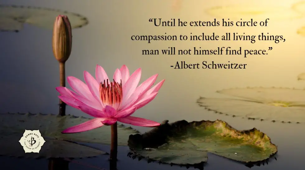 Inspirational Quotes and Proverbs of Eastern Wisdom - Bambu Batu