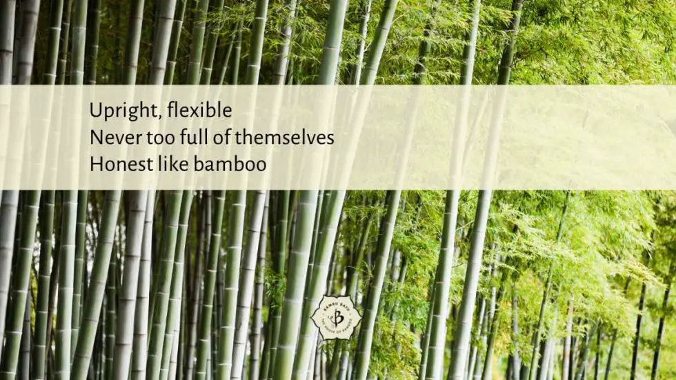 Bamboo Proverbs: 9 Great quotes about bamboo - Bambu Batu