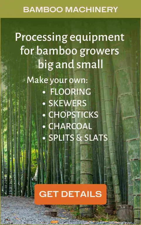 3 Ways of propagating bamboo and one is pretty easy - Bambu Batu