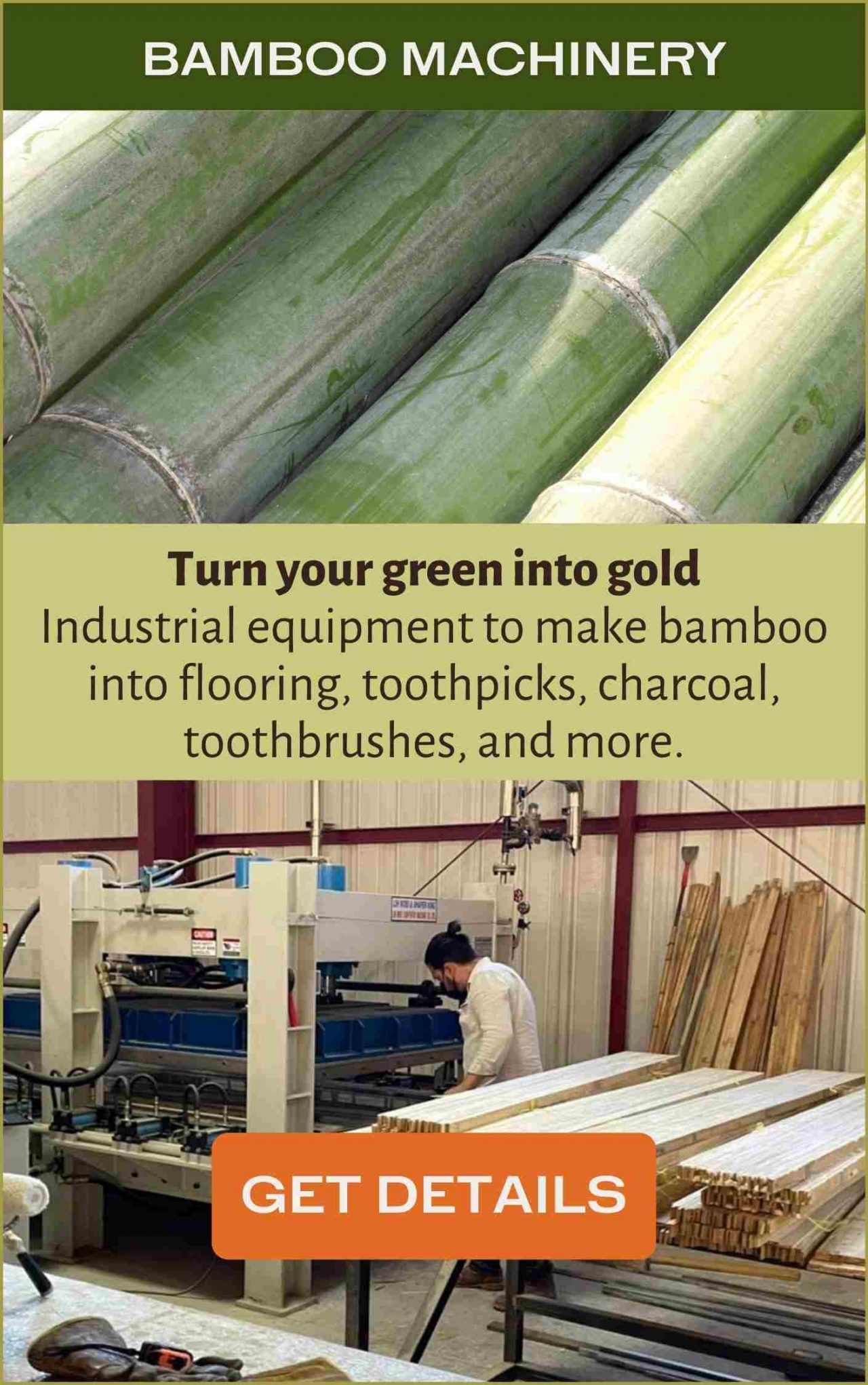 Growing Bamboo: A complete how-to guide - Bambu Batu