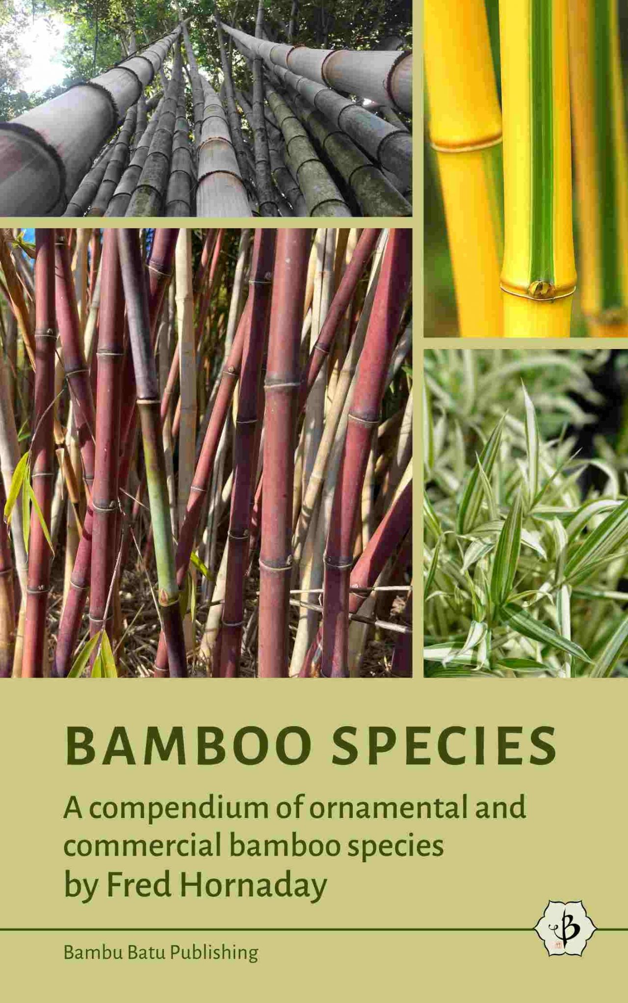 Best clumping bamboos: Never run again - Bambu Batu