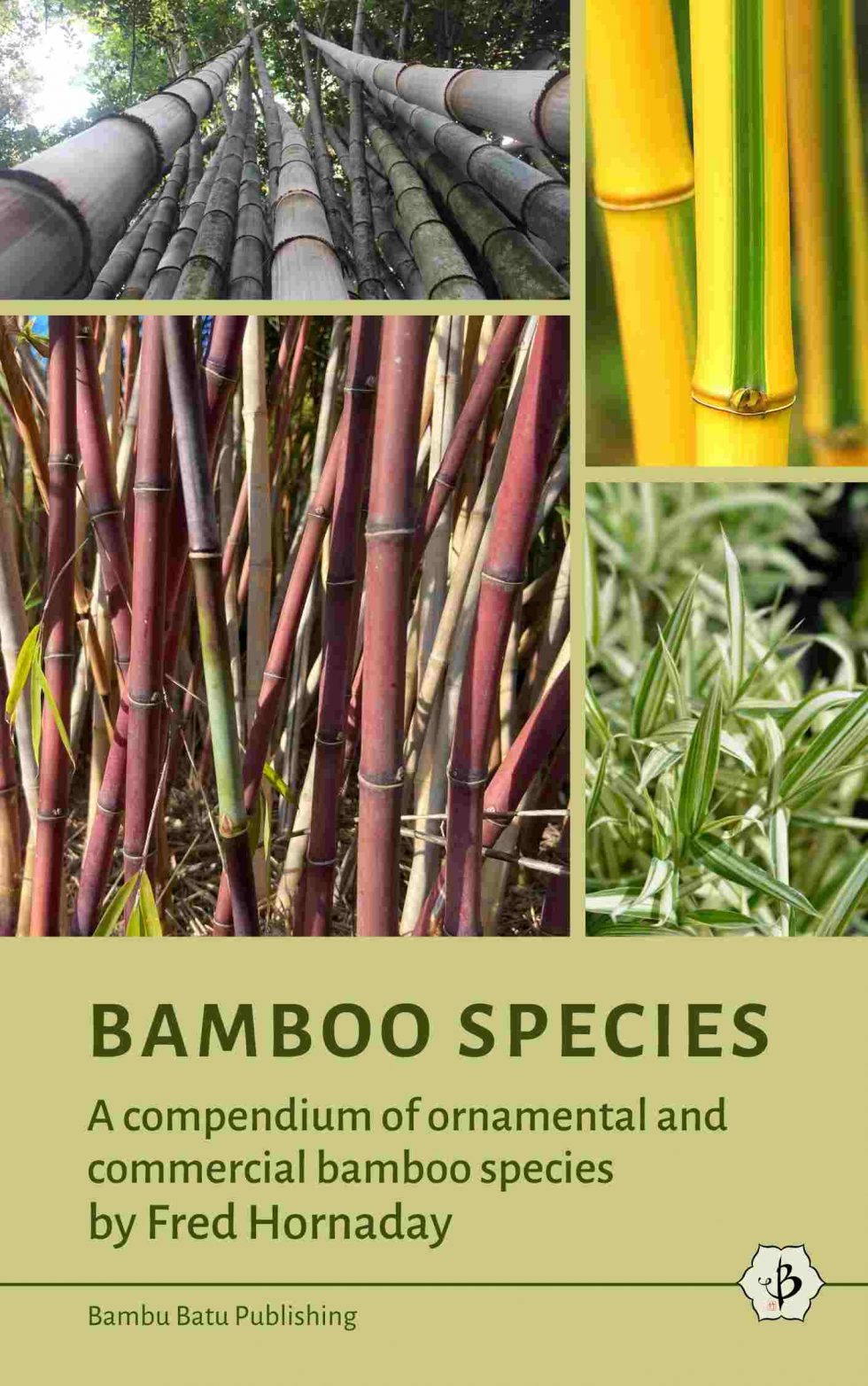 Bamboo Species Guide - Bambu Batu