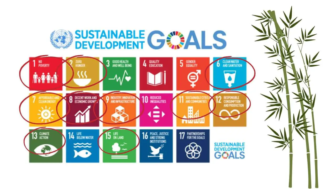 Bamboo and the UN Sustainability Goals - Bambu Batu