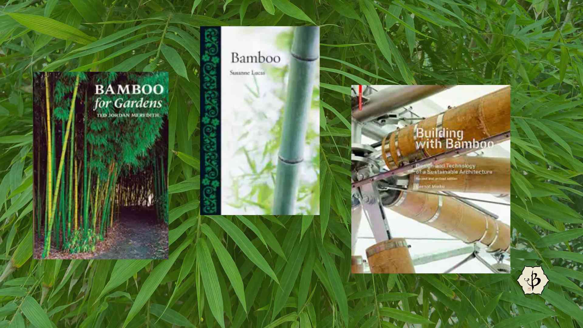 11 Best Books about Bamboo: For a Growing Library - Bambu Batu