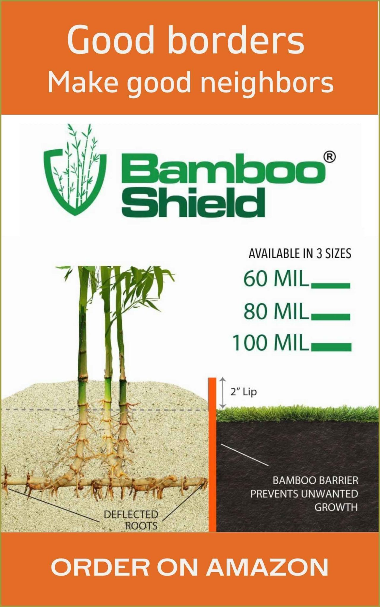 Thyrsostachys siamensis: Monastery Bamboo - Bambu Batu